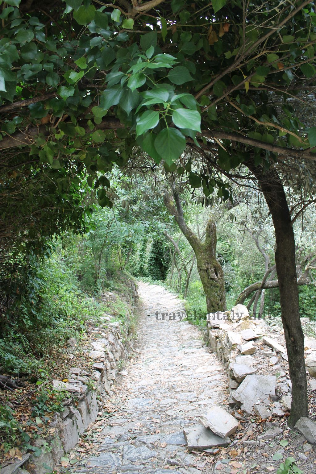 Cinque Terre - The five lands - Travel in Italy
