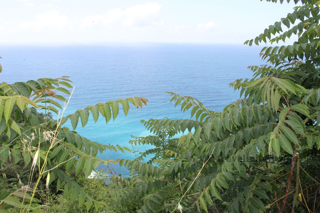Cinque Terre - The five lands - Travel in Italy