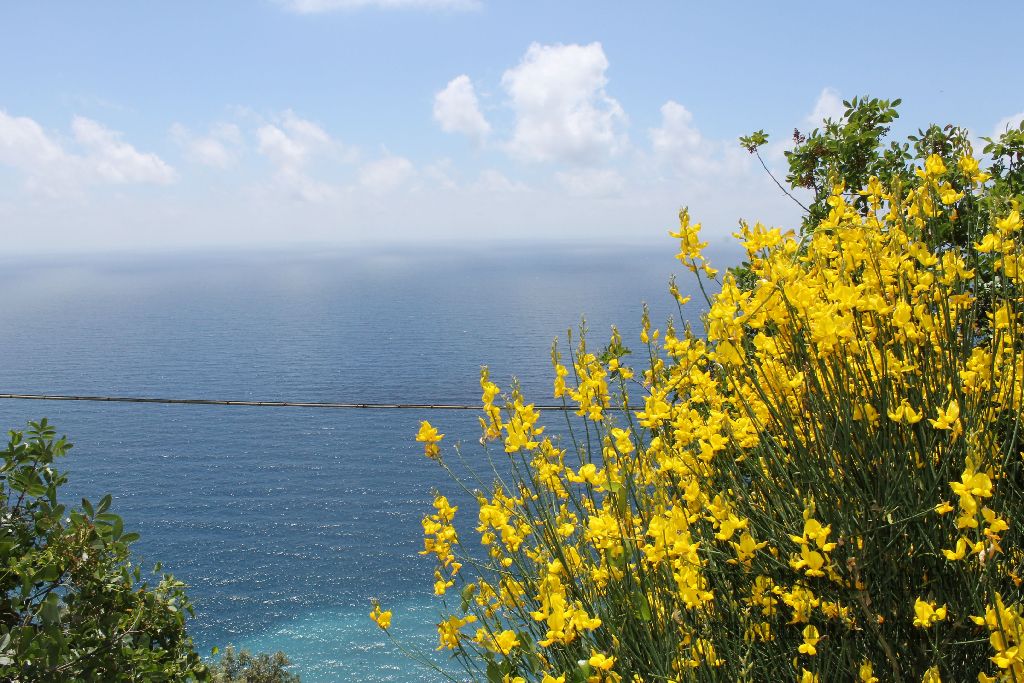 Cinque Terre - The five lands - Travel in Italy